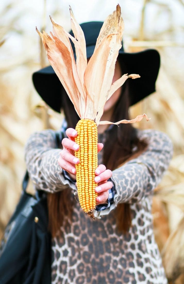 How to Wear a Floppy Hat in the Fall with Confidence | Diary of a Debutante